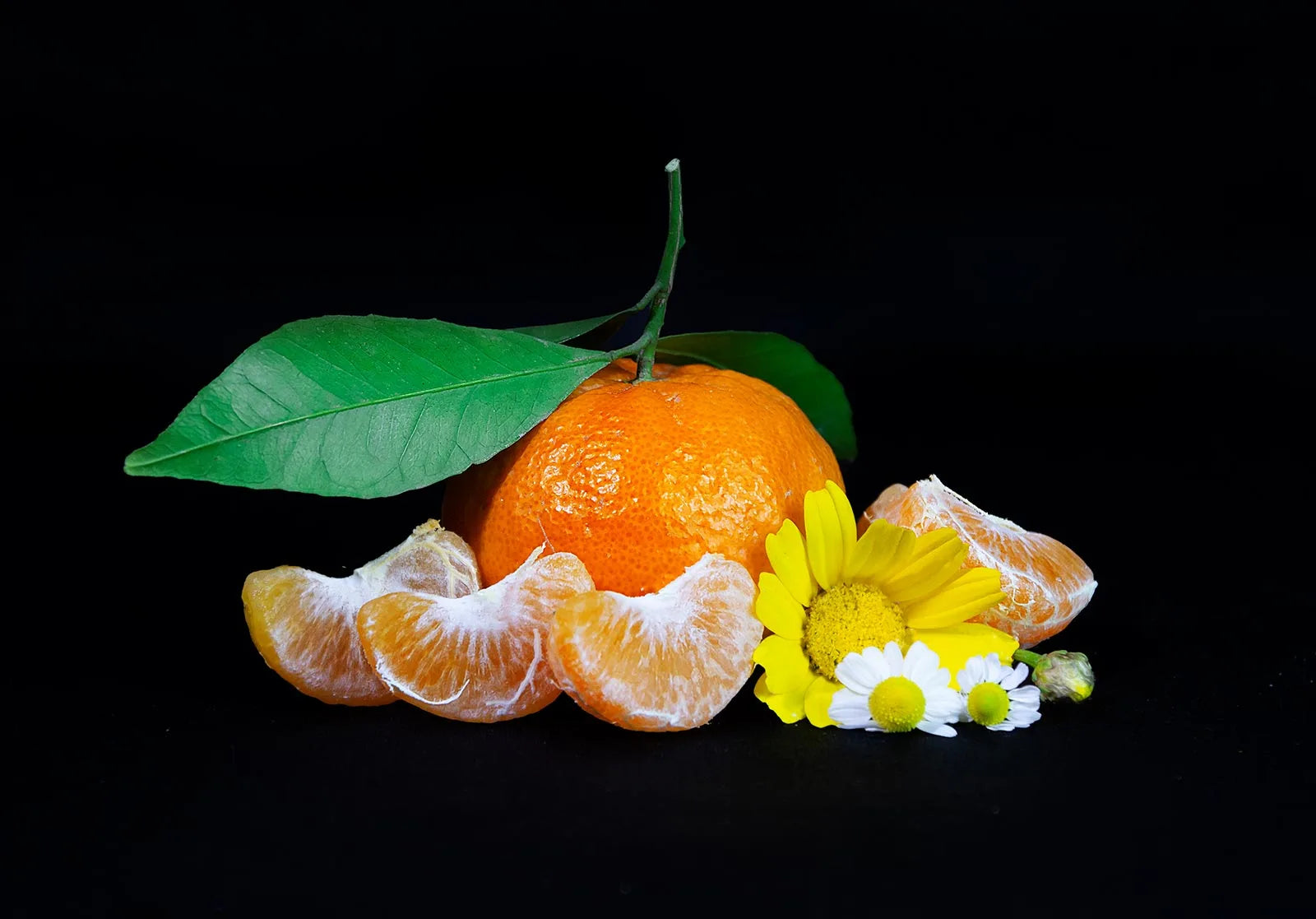 Marzaiolo Mandarin